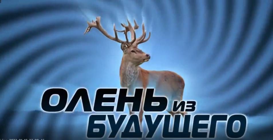 Олень из Будущего By K1tsune Meme Sound Effect Button For Soundboard