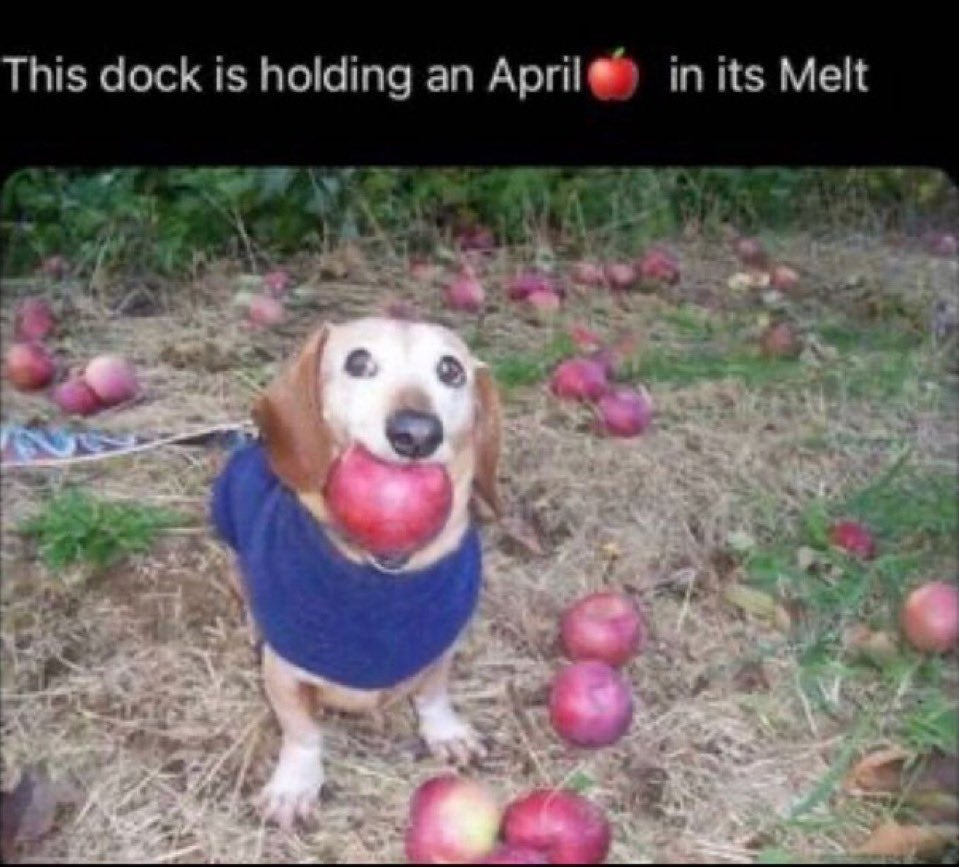 Pan smack sound effect louder by BucketHeadIsGoat Sound Effect - Tuna