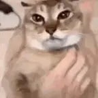 STAGGER by Cyuxa - Meme Sound Effect Button for Soundboard - Voicemod