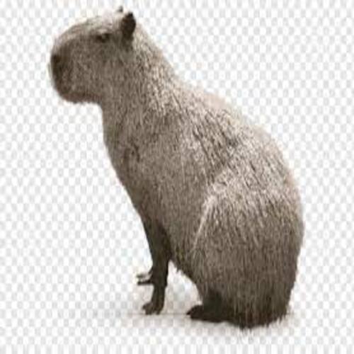 russian by Evolt Sound Effect - Meme Button for Soundboard - Tuna