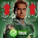 arabic meme by CondenserGateSquare10655 - Meme Sound Effect Button for ...