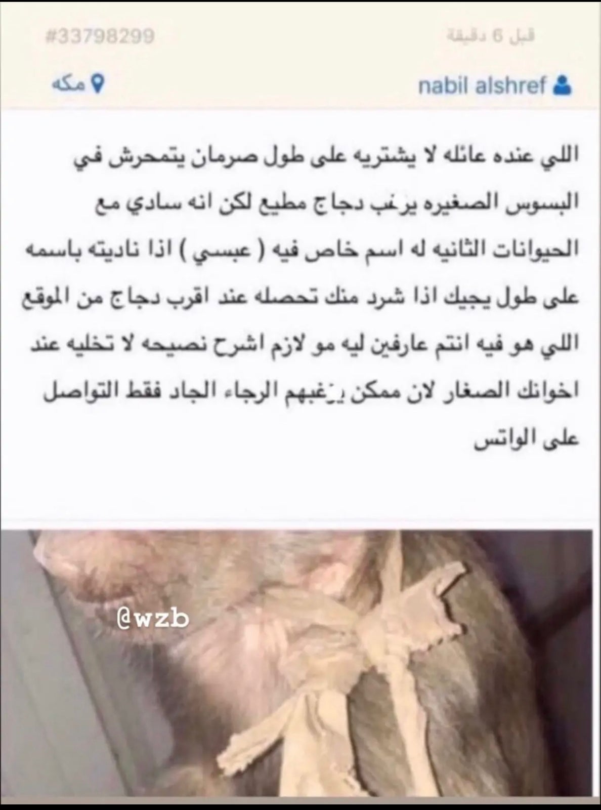 رياكشن ارحبواhjjjj by MutedLatencyTempo41356 Sound Effect - Tuna