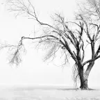 outro music by Jobi - Meme Sound Effect Button for Soundboard - Voicemod