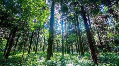 Gago Tang Inutil Tarantado Sound Effect by dreiszuuuu Sound Effect - Tuna