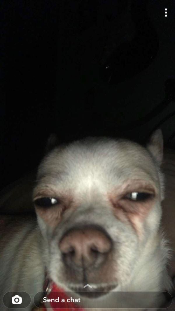 mo bamba by sheck wes but it's low quality by MusticButter - Tuna