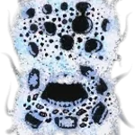 Dreads reaction by PHguaimes - Meme Sound Effect Button for Soundboard ...