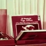 you ok dear by ConvolutionVibrationShifting42286 - Meme Sound Effect ...