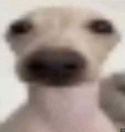 We are cooked chat gg CaseOh by aTipsyToddler - Meme Sound Effect ...