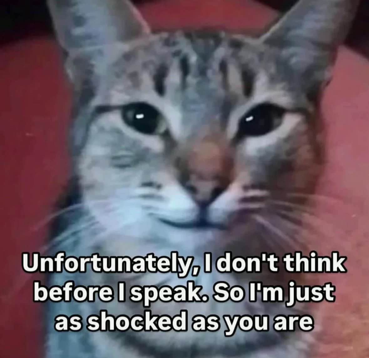 Nelly - Dilemma (feat. TUCO) by Skullhead101 - Meme Sound Effect Button ...