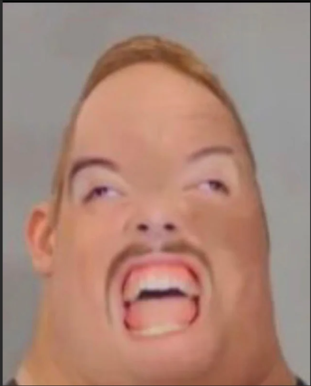 Angry kitten meme by LiveSignalTremolo36185 - Meme Sound Effect Button ...