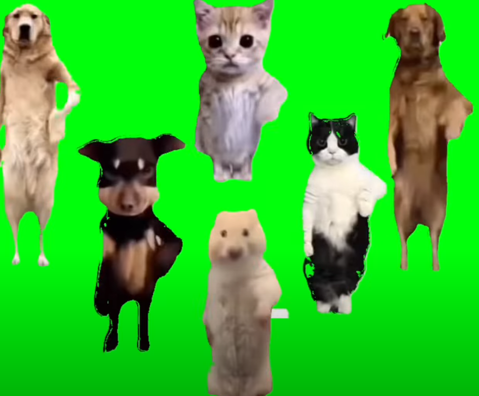 Chinese Bath Song 洗澡歌 by DrySignalChorus41581 Sound Effect - Tuna