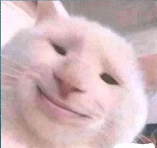 fsdfsdfsd by nekonekonf - Meme Sound Effect Button for Soundboard ...