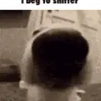 Sniff dog by MultiBandLowMultiBand53962 - Meme Sound Effect Button for ...