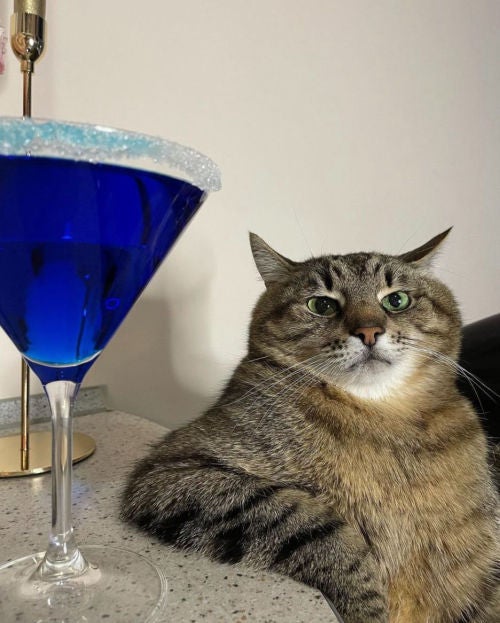 Dalawang Beses Na Yan! Meme for Vlogs by JaredEspiritus Sound Effect - Tuna