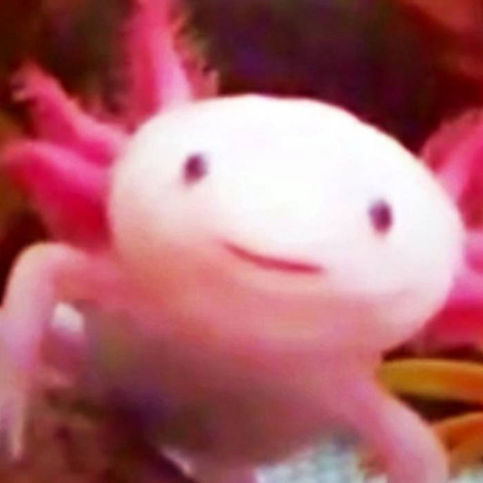 pink axolotl song pt 2 by mastermeh805