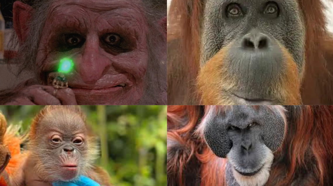 scp secret laboratory micro hid fire sound (new) by ...