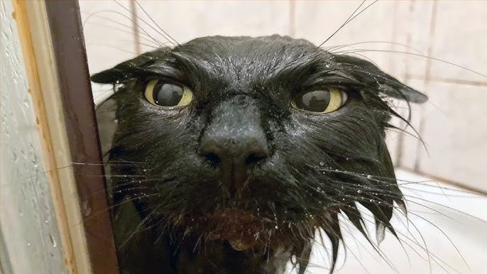 fart with reverb by mathyou Sound Effect - Meme Button - Tuna