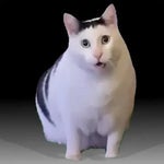 Huh sound effect by TapeShiftingDecibel76859 - Meme Sound Effect Button ...