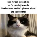 The perfect dap by Eclipsethatoneweirdo - Meme Sound Effect Button for ...