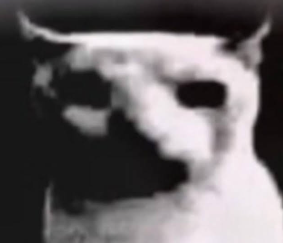 nigg by AnalogReflectionReverb53254 Sound Effect - Meme Button - Tuna