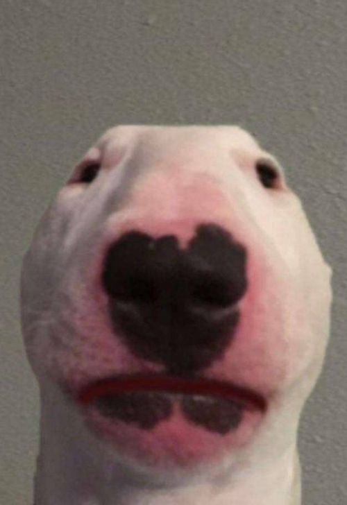 Hehehehe by Zezoca - Meme Sound Effect Button for Soundboard - Voicemod