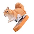 Squirrel Stapler GOD IS COMING first part by EbilMan