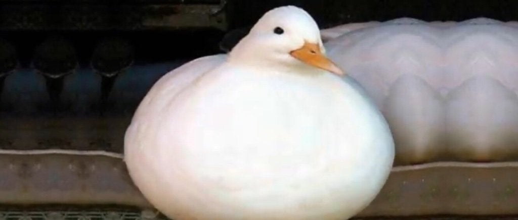 screaming ppl by PufferFlake - Meme Sound Effect Button for Soundboard ...