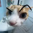 Get Out! by C00Lsounds - Meme Sound Effect Button for Soundboard - Voicemod