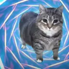 fein o ii a by LevelFuzzSignal93279 Sound Effect - Meme Button - Tuna