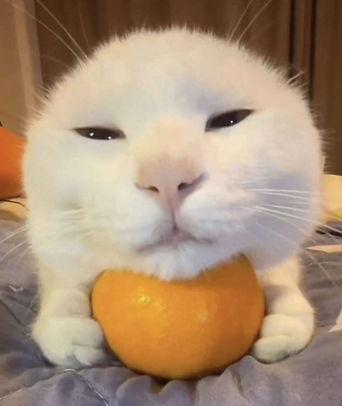 WAGH by RicoWithAHammer - Meme Sound Effect Button for Soundboard ...