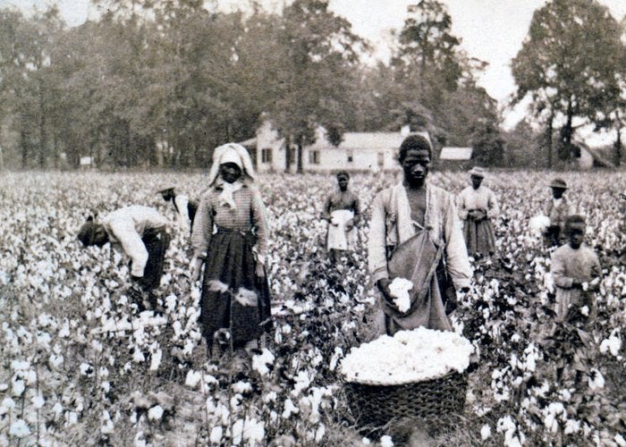 cartoon slipping sound effect by Chickennugs47 Sound Effect - Tuna