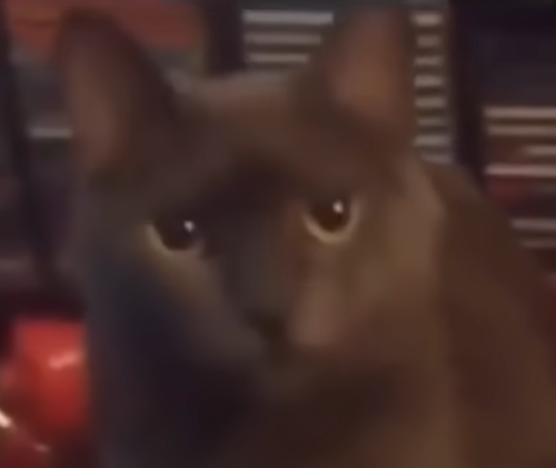 candice by womenarentreal4 Sound Effect - Meme Button - Tuna