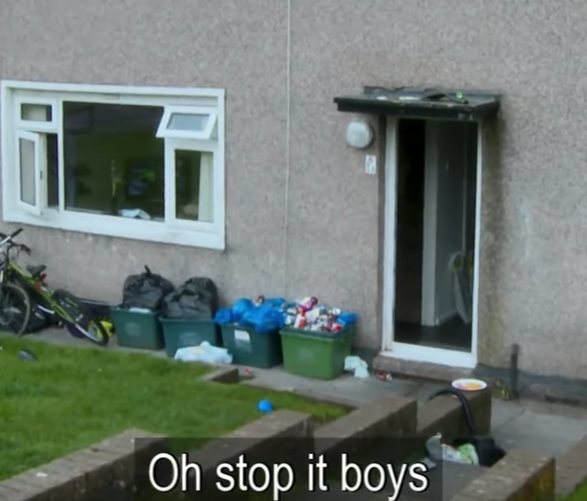 Oh stop it boysah! You're doing my head in! by servalbyte - Tuna