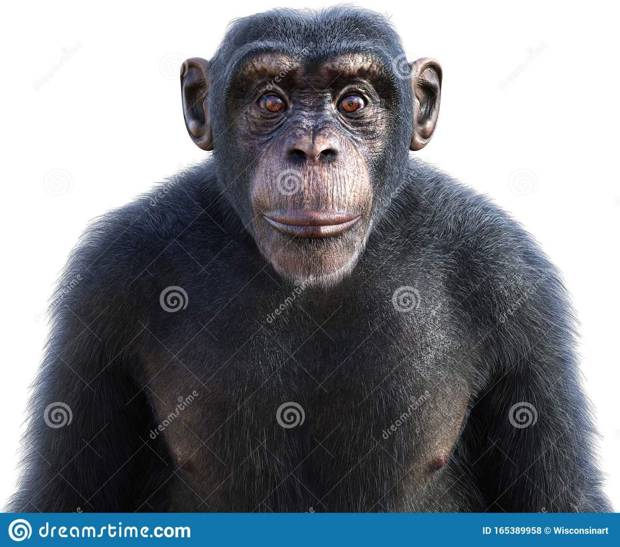 Mexiko Dro Stoopidxool Poloboyshawty Plugg Tag by Bdenny