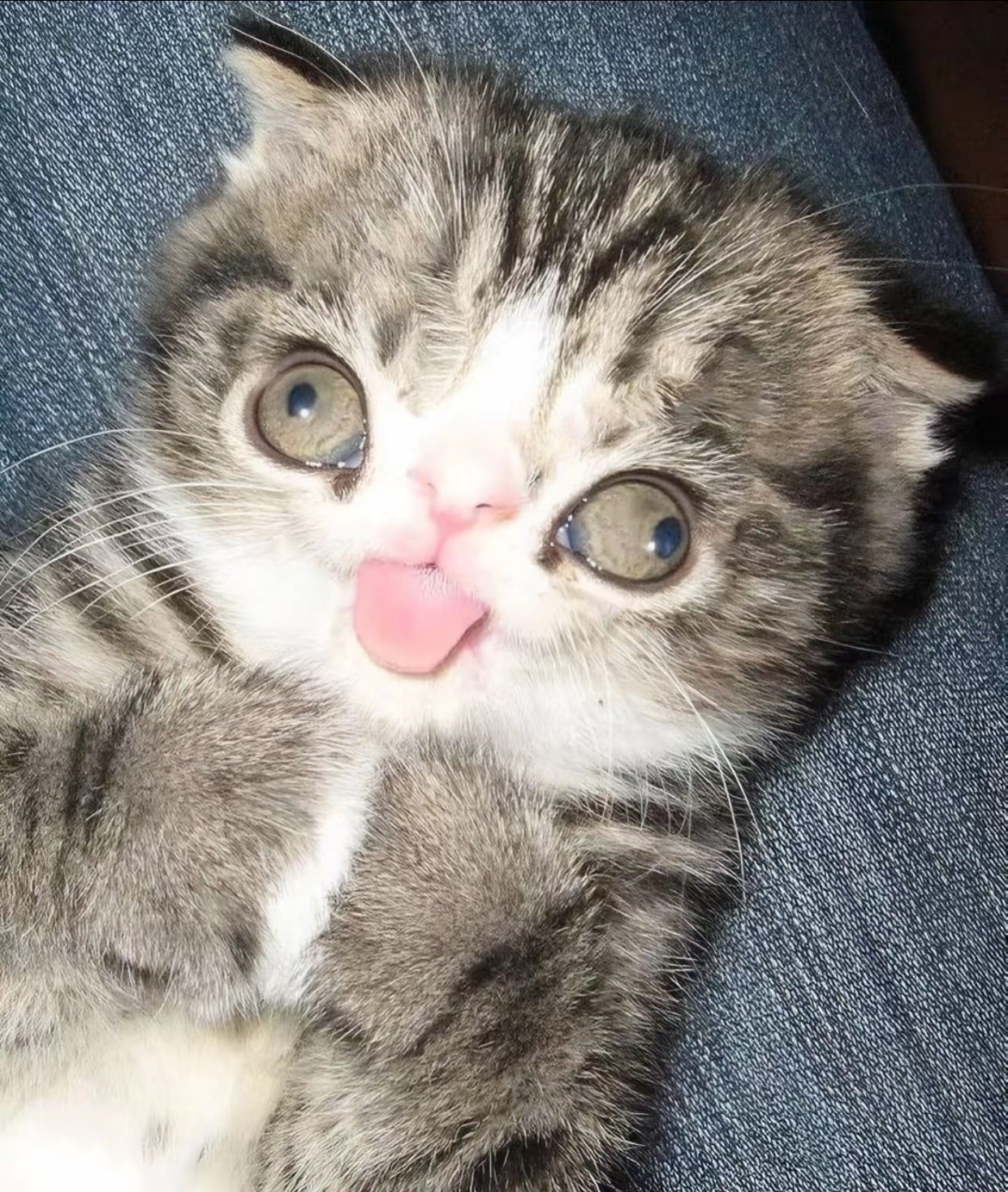 entrance hidden by bricks and rubble by bolabola - Meme Sound Effect ...