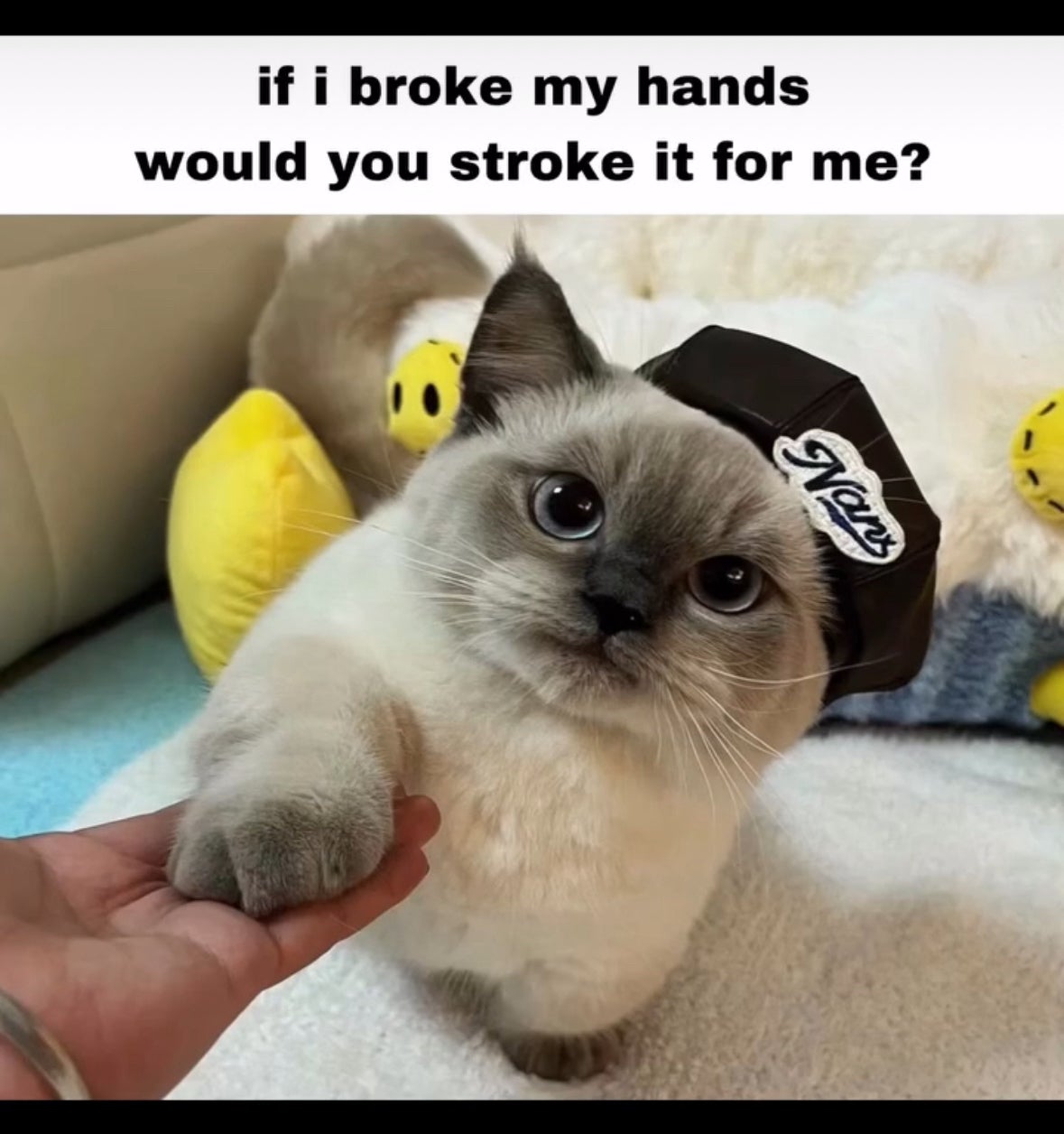 Snappy Jit We Go To Work V1 by eatmanut