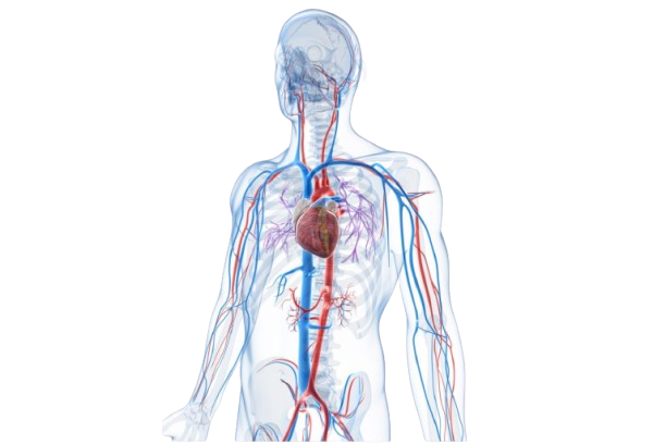 im a blud im a blud im a diddy diddy blud by ...