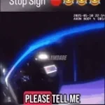 Why you stopping me_ by FlangerBitcrusherReverb37119 - Meme Sound ...