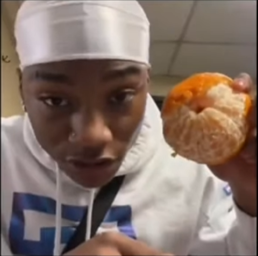 GINEMINASOURUS by AnalogBassFormant55244