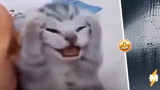 ekhkhkhkh bliat by AmplifierBassCondenser70685 Sound Effect - Tuna