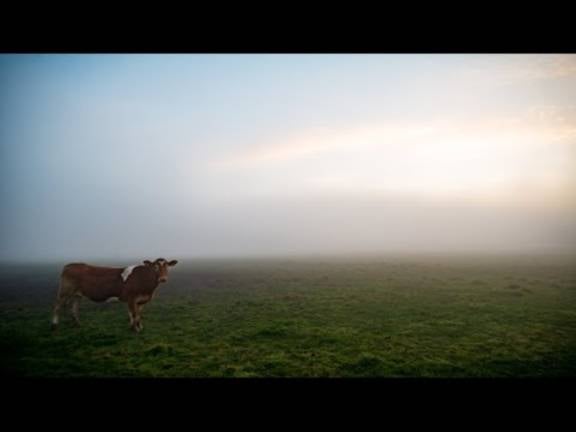 guy with milkshake in parking lot screaming for help by puro0 - Meme ...