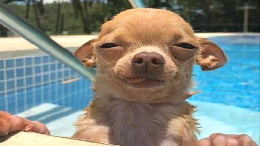 bonk by BlueSmurfCat1 Sound Effect - Meme Button for Soundboard - Tuna