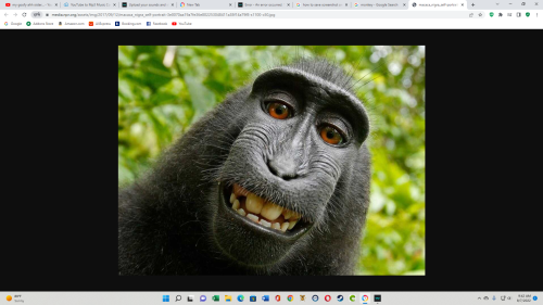 My Goofy Ahh Dad by forlightning9091 Sound Effect - Meme Button - Tuna