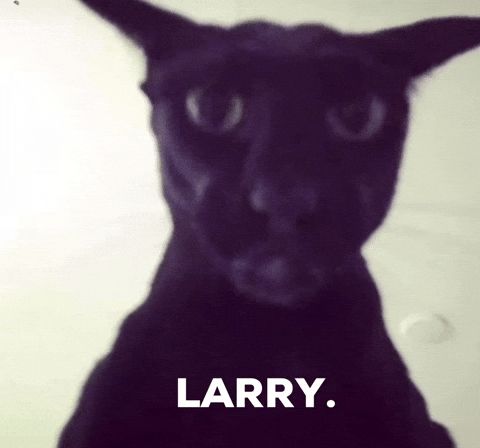 Larry Cat by bakakakakak - Meme Sound Effect Button for Soundboard ...